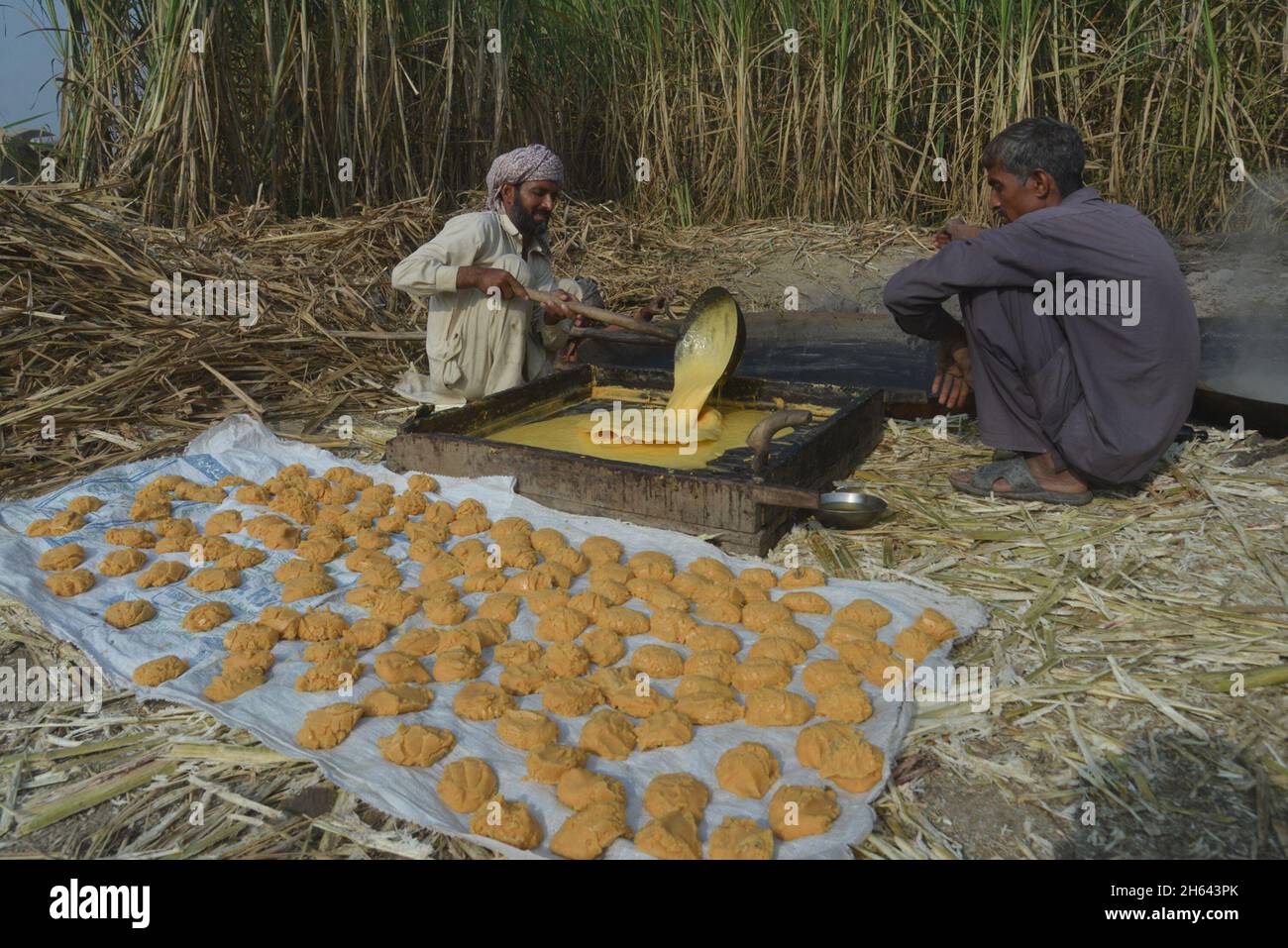 Lahore, Punjab, Pakistan. 11th Nov, 2021. Pakistani farmers are busy in ...
