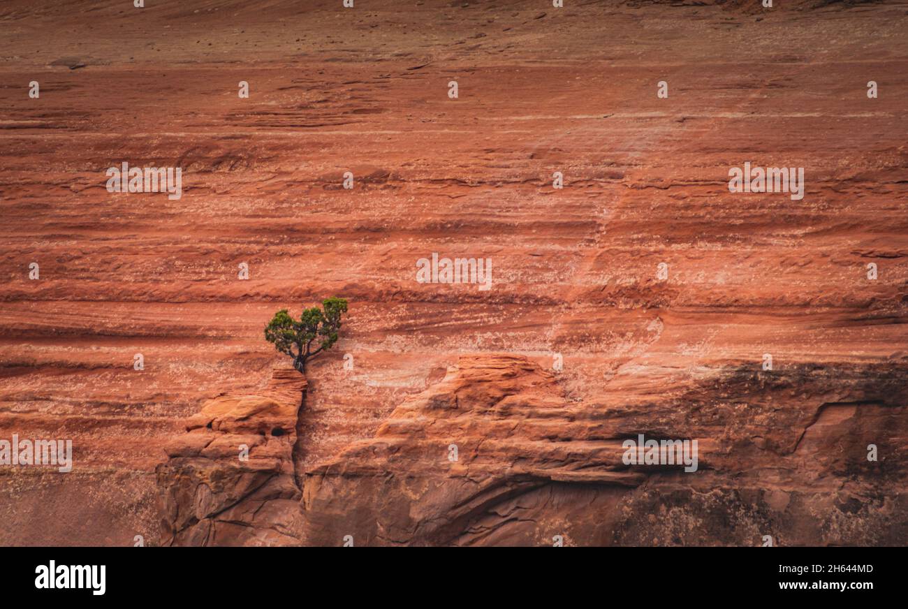 Canyon wall texture hi-res stock photography and images - Alamy
