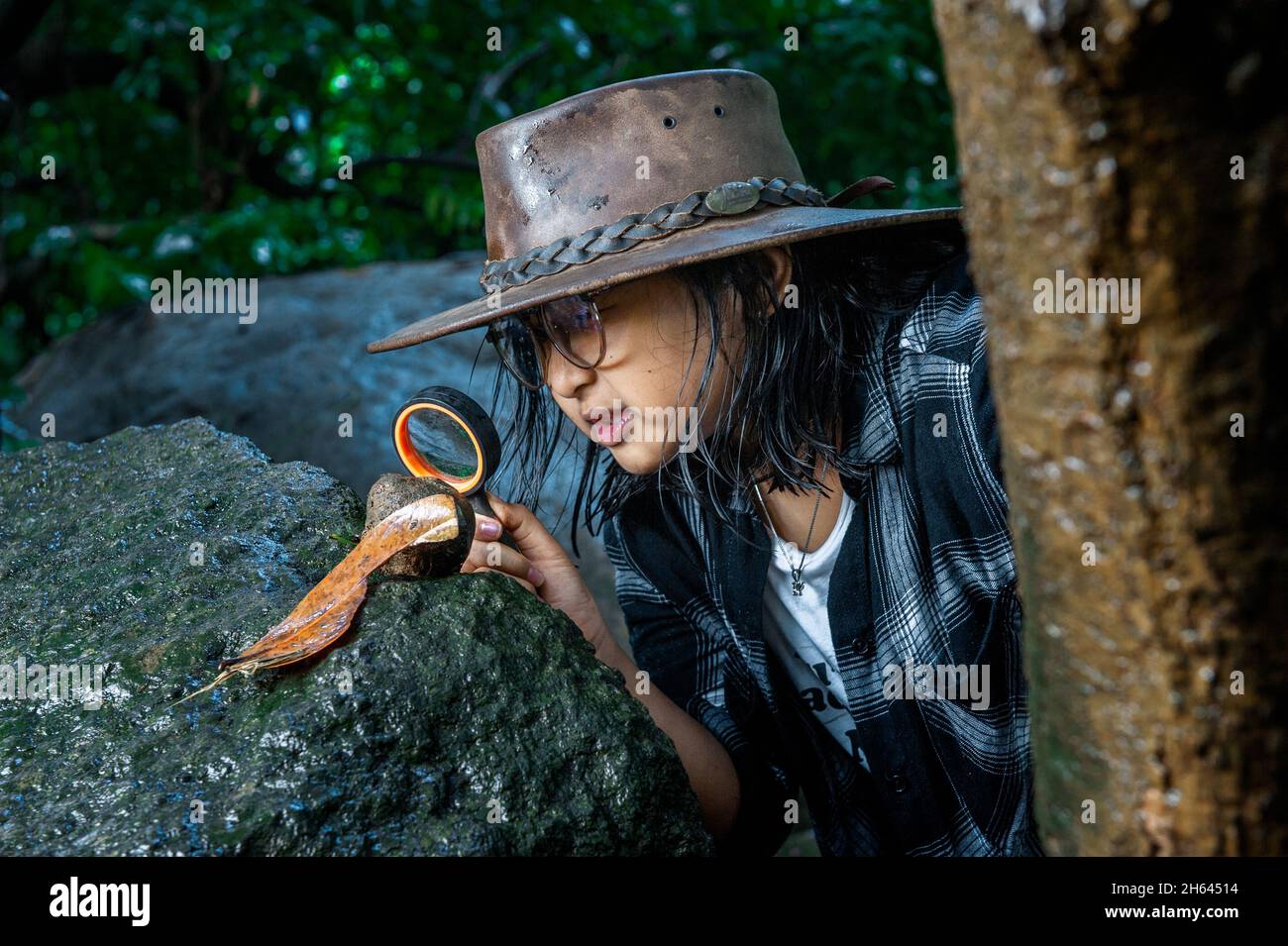 Student girl doing research in the forest as the background Stock Photo ...