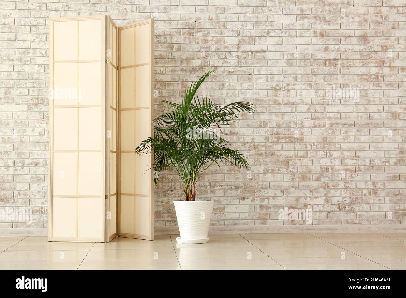 Beige folding screen and houseplant near light brick wall Stock Photo ...
