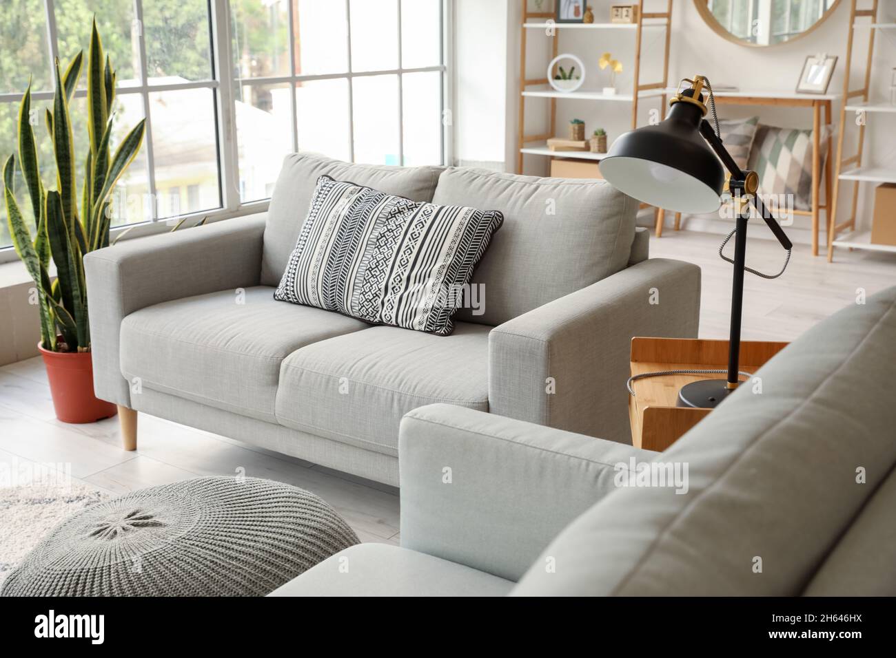 Studio apartment with stylish sofa in living room Stock Photo - Alamy