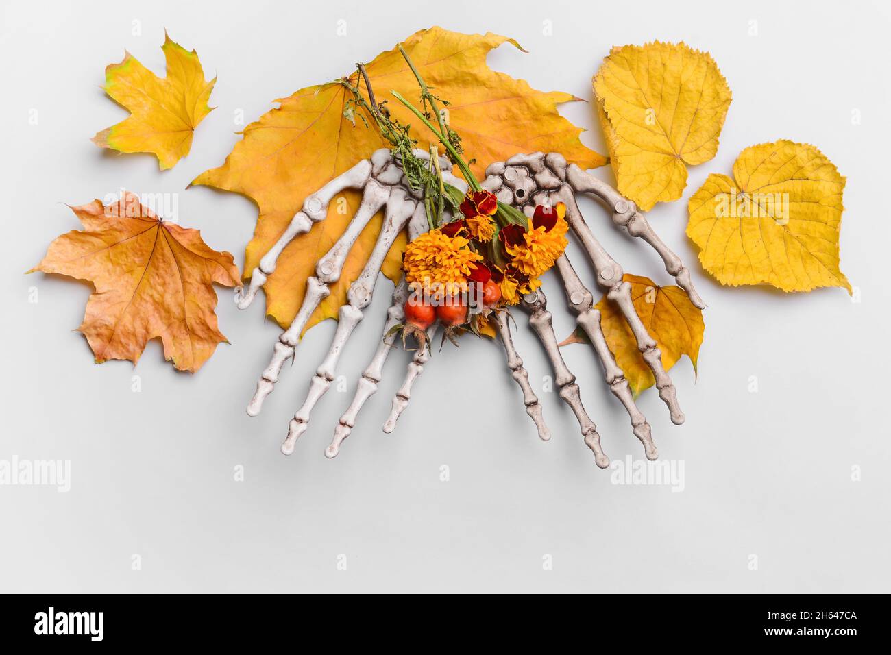 Skeleton hands with flowers and fallen leaves on white background Stock ...