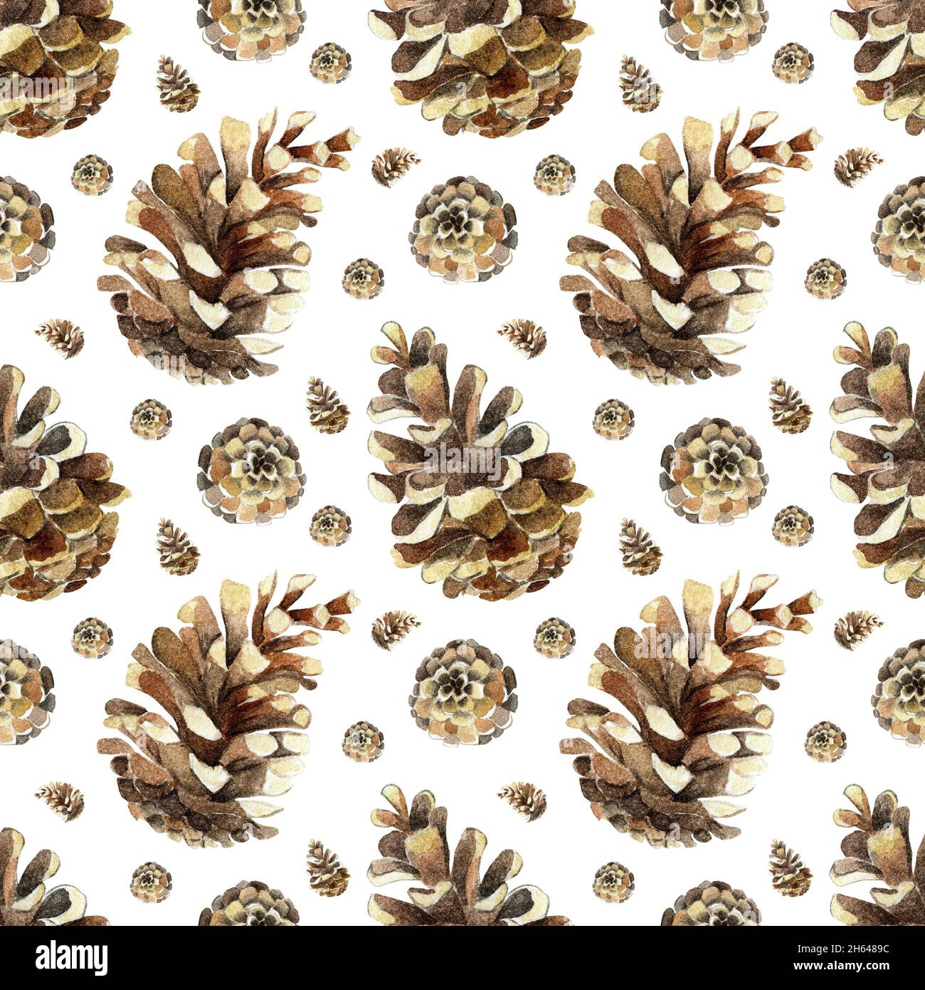 Watercolor botanical seamless pattern with pine cones. Hand painted winter holiday plants ...