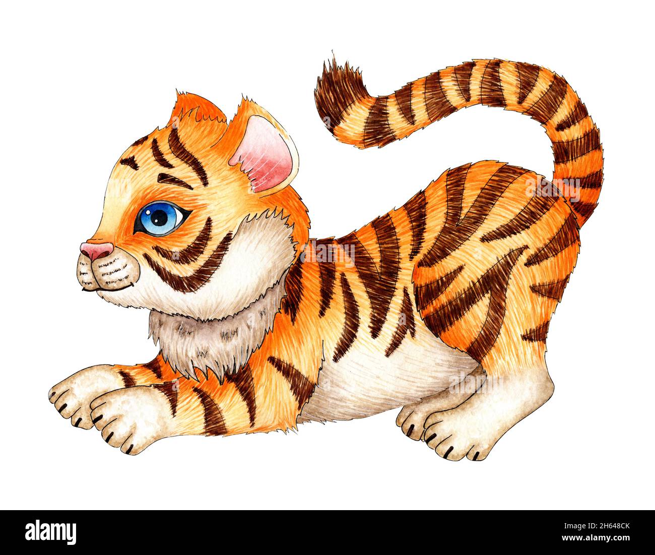 Watercolor Tiger Chinese