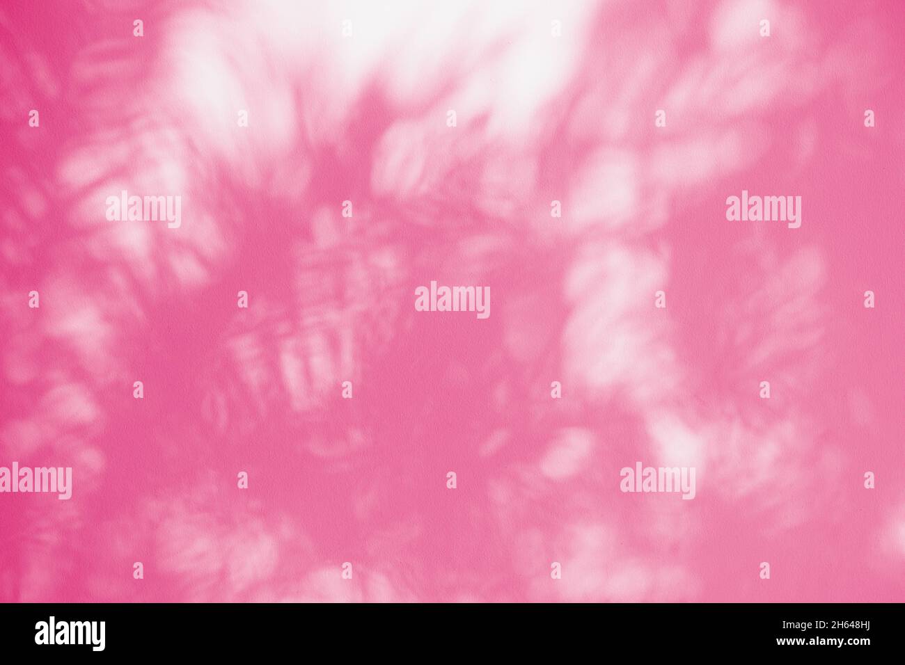 Pink background wall with shadow of palm tree texture abstract pattern ...