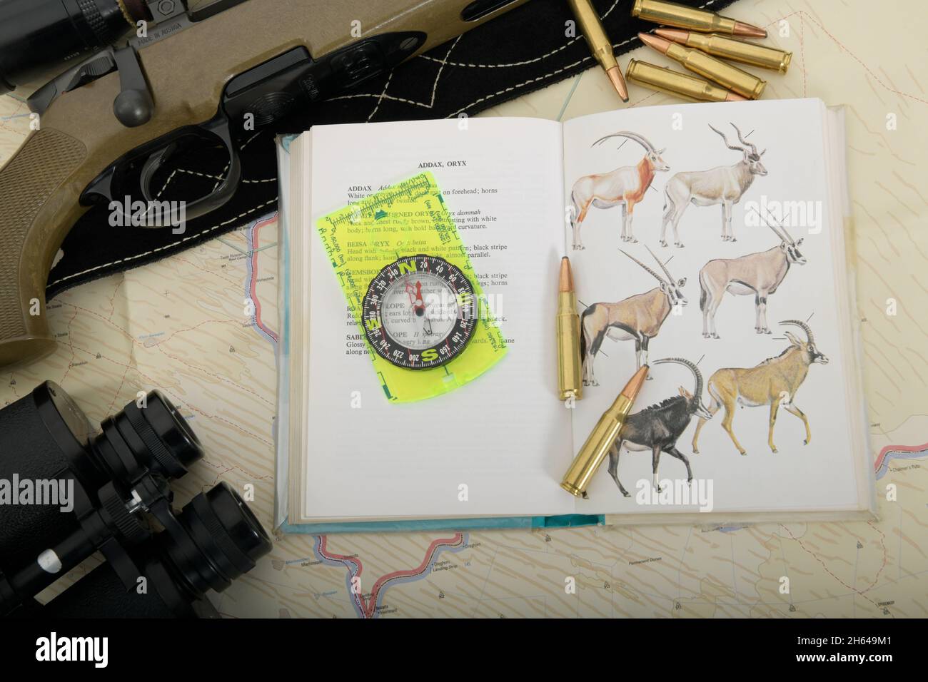 Firearm shoot shooting device hi-res stock photography and images - Alamy