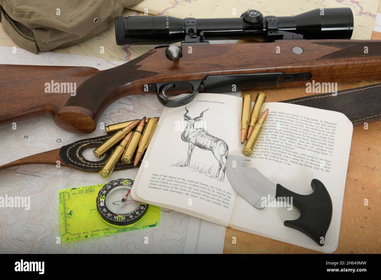 African hunting safari adventure, bullets, gun, animal hunt, rifle ...