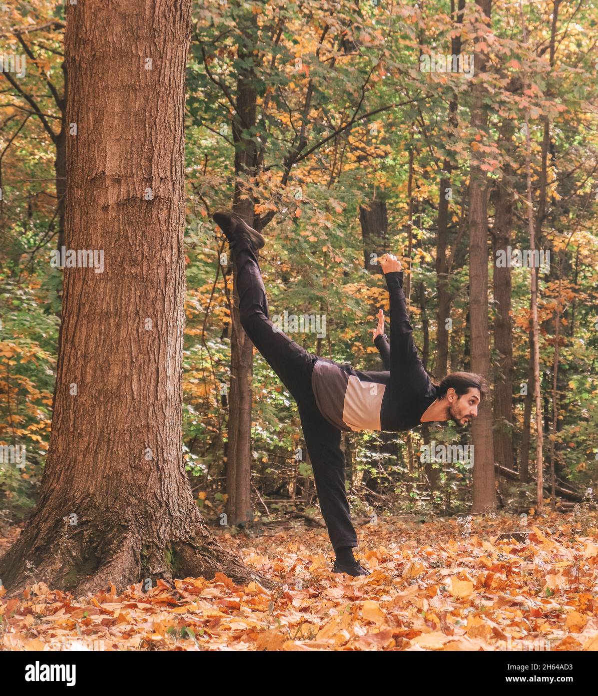 Kung Fu practice Stock Photo - Alamy