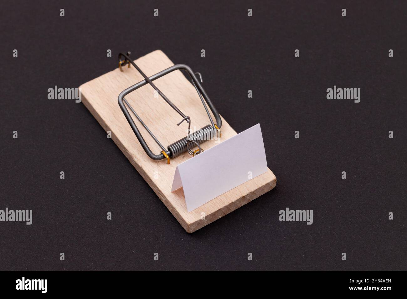 Blank White Sheet of Paper in Wooden Mousetrap - Template. Small Memo ...