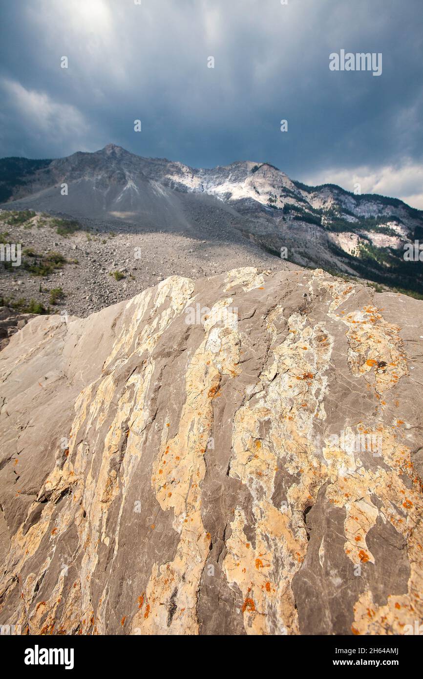 Frank slide hi-res stock photography and images - Alamy