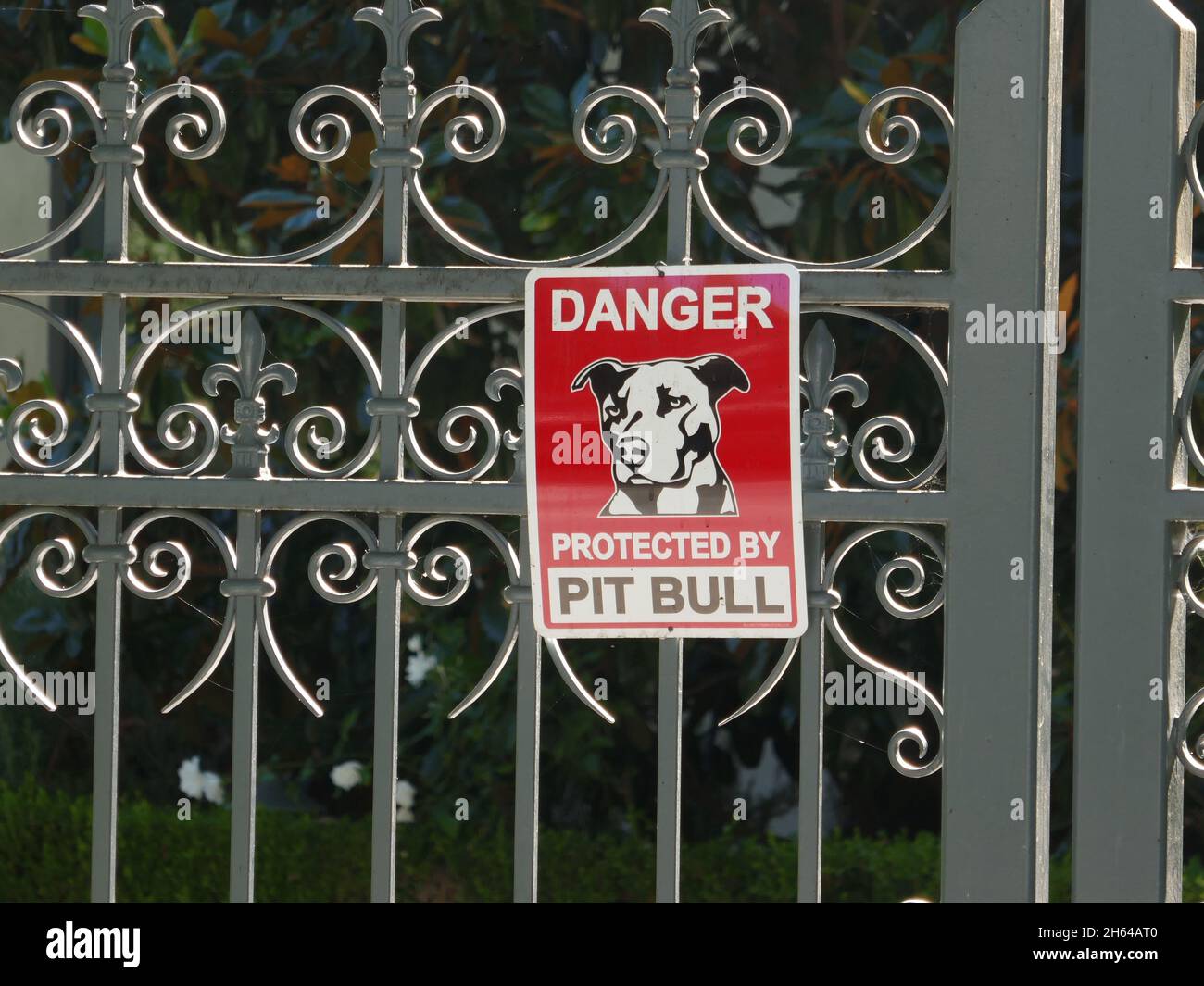 Protected by pit bulls hi-res stock photography and images - Alamy