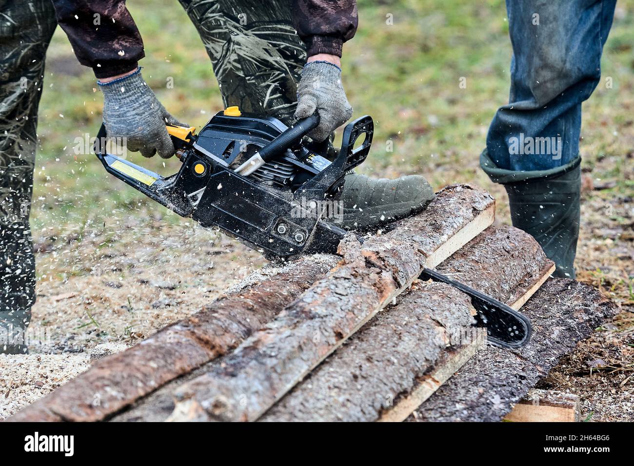 a chainsaw is used to cut wood outdoors Stock Photo - Alamy