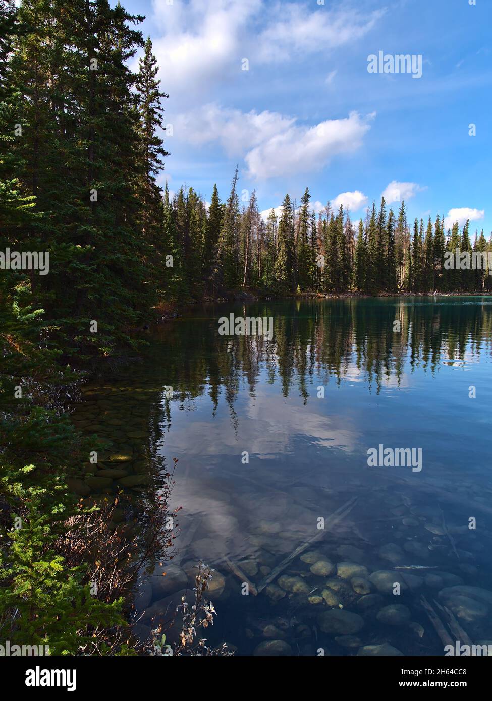 Jasper forest hi-res stock photography and images - Alamy