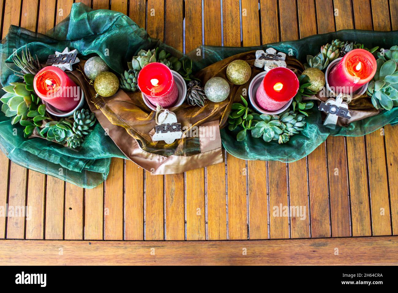 South african succulents hi-res stock photography and images - Alamy