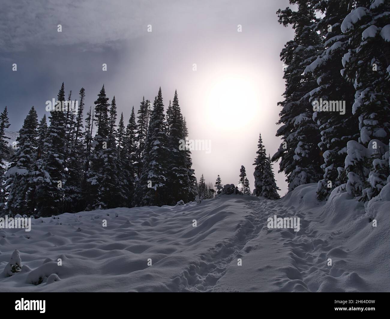 Beautiful winter landscape with hiking path and footsteps in the snow ...