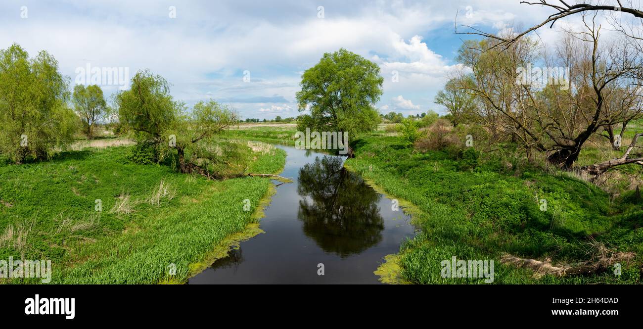 Panoramic view of Ukrainian landscape. Tree reflects in a river water ...