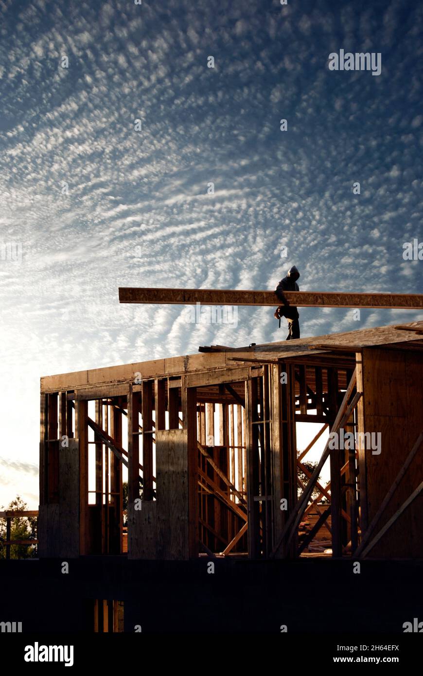 Frame carpenter carrying a long floor joist over rough framing Stock ...