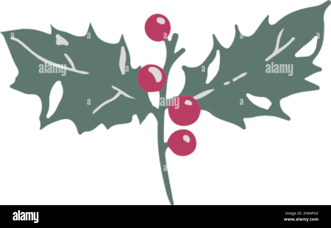 Mistletoe plant with leaves and berries vector Stock Vector Image & Art ...