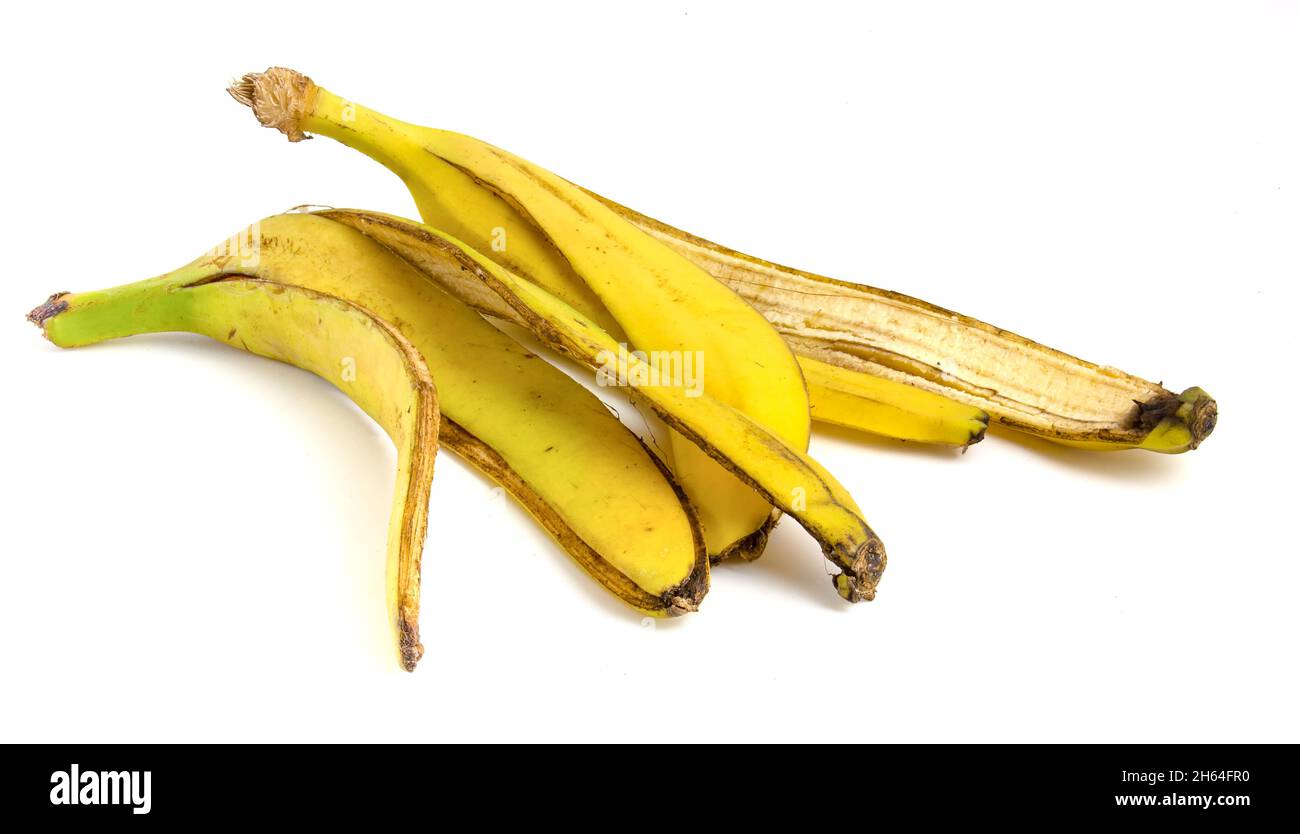 Banana peels, organic waste for compost isolated on white background ...