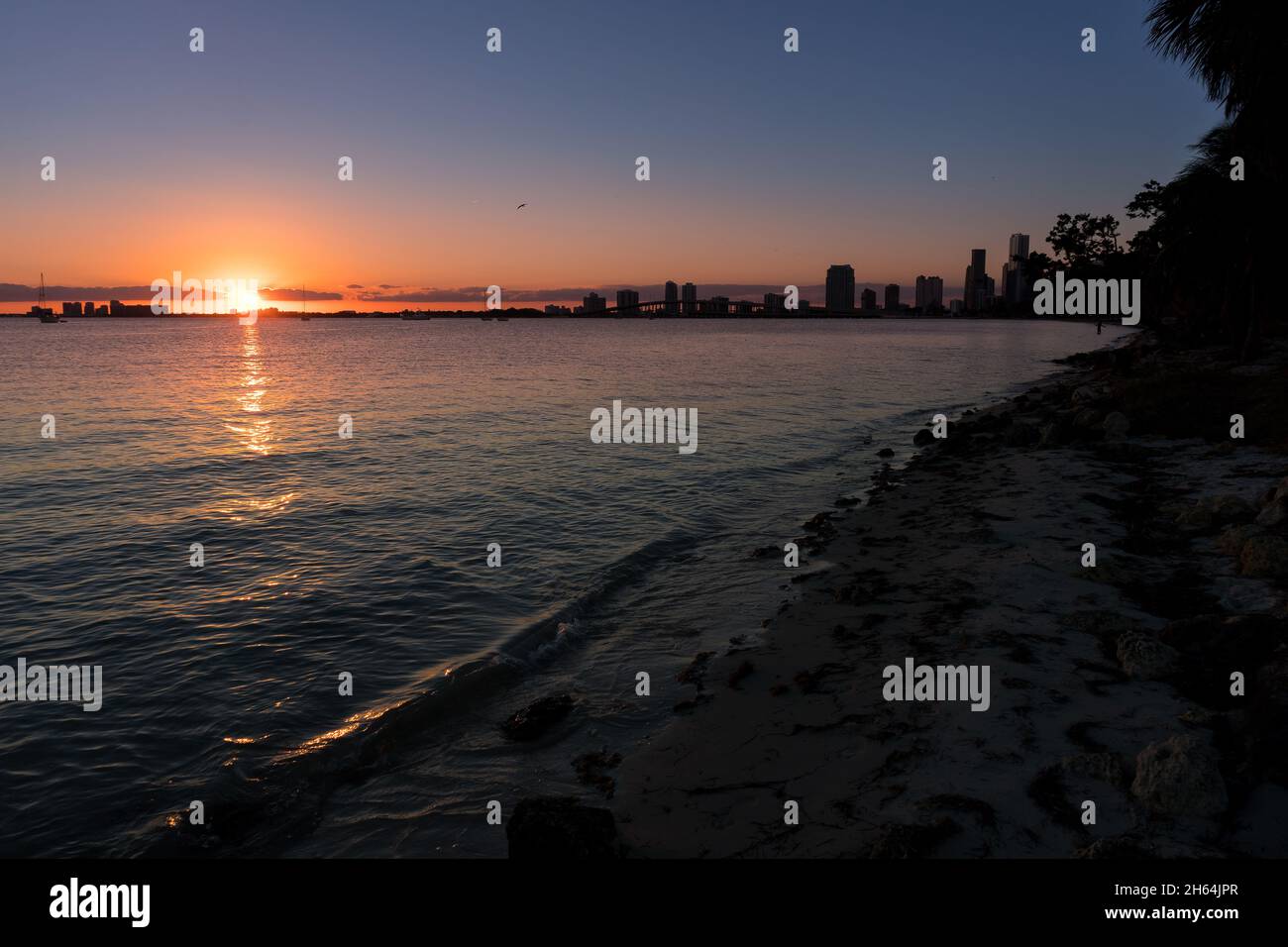 view of the Miami skyline at sunset during a summer day Stock Photo - Alamy