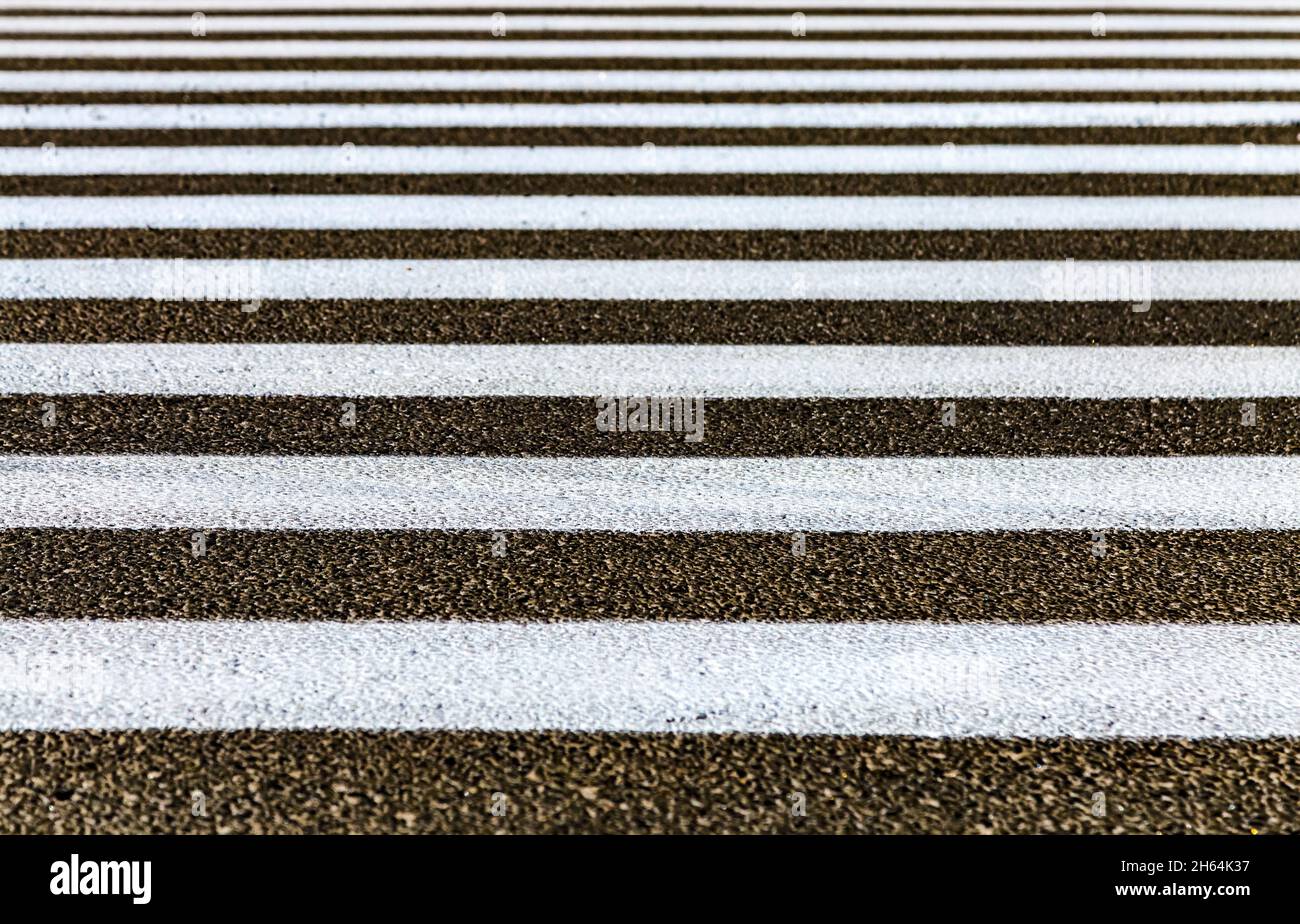 Closeup zebra pedestrian crossing on the asphalt road. White stripes on ...