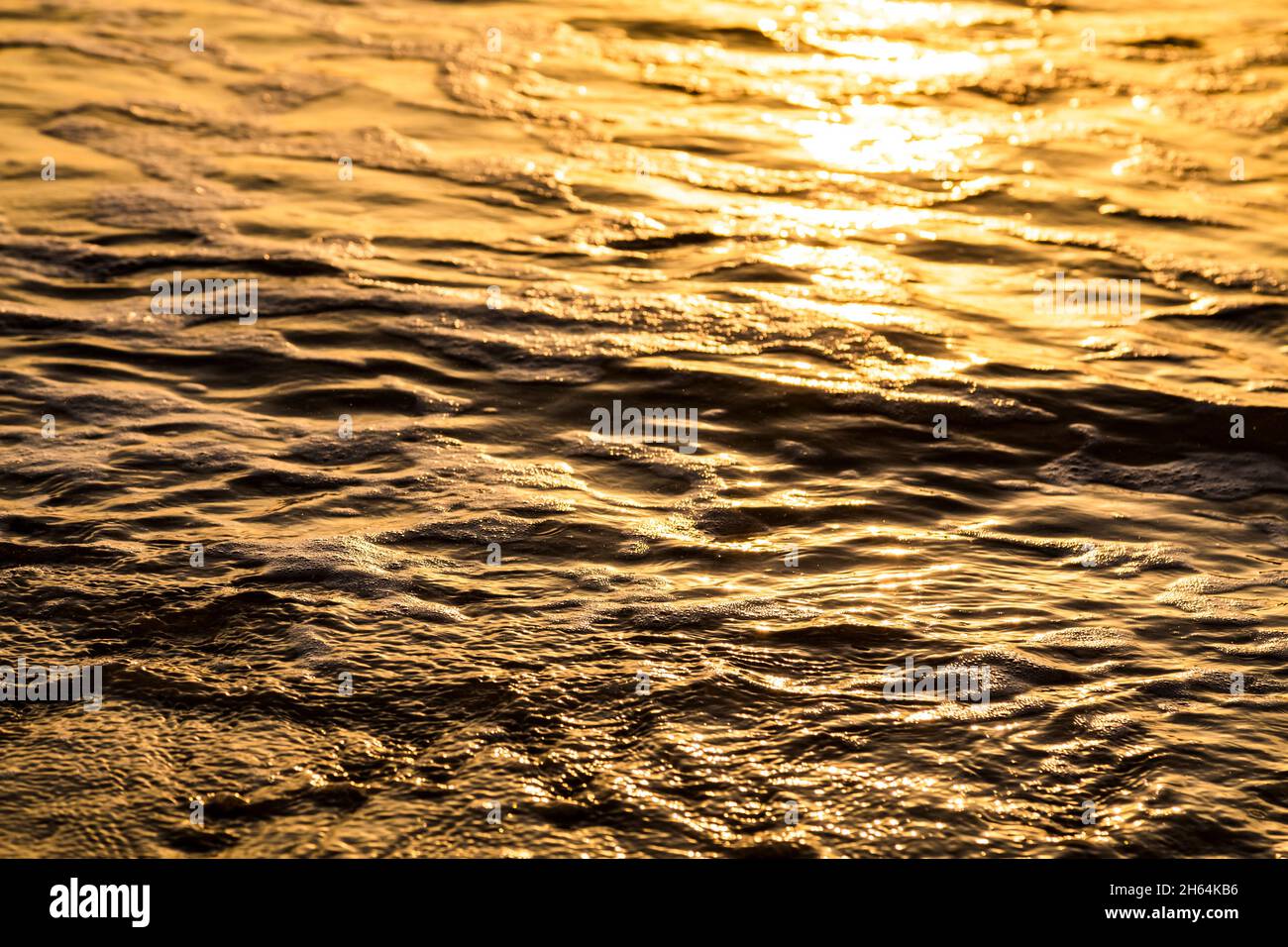 Sea water edge at sunset or sunrise. Texture of golden waves in the ...