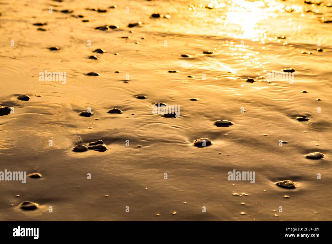 Sea water edge at sunset or sunrise. Texture of waves, wet sand and sea ...