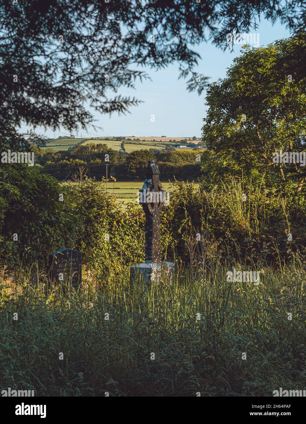 Tombstone in an overgrown park Stock Photo - Alamy