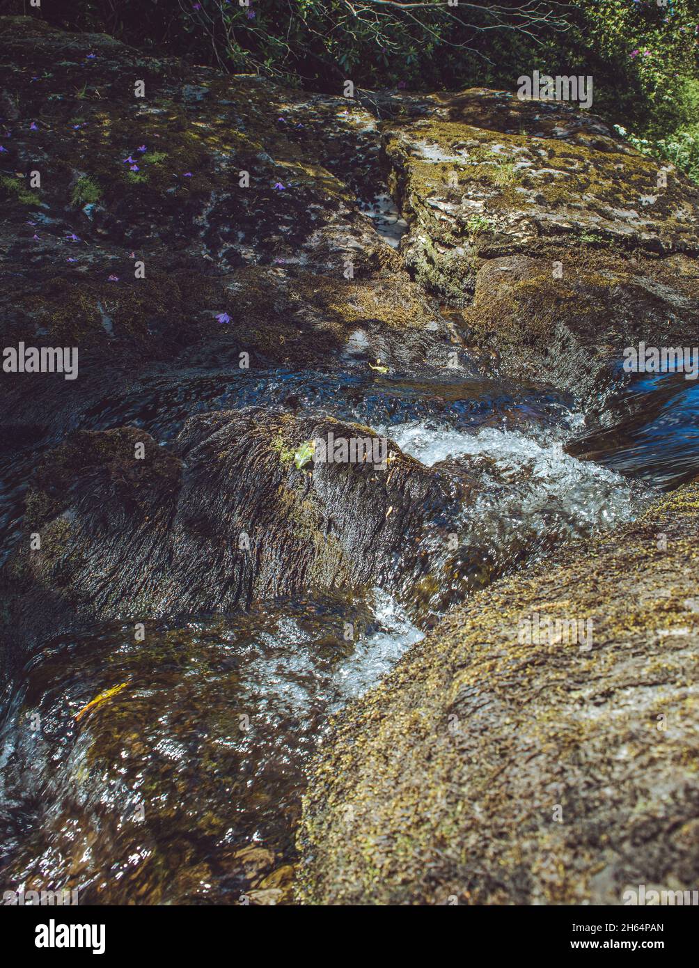 Beautiful landscape of mossy rocks in a park Stock Photo - Alamy