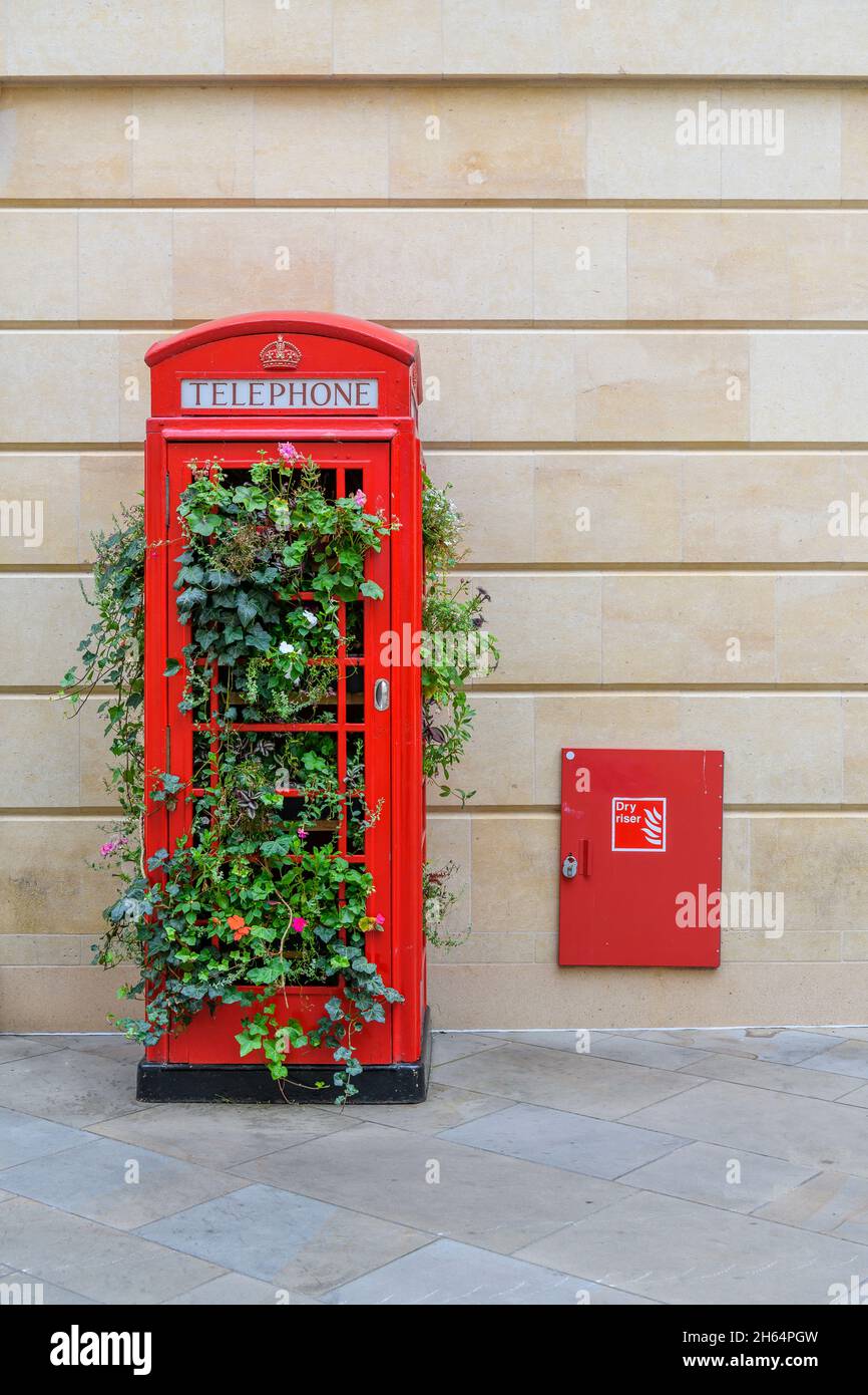 Old red British phone box imaginatively crammed with plants to make a ...