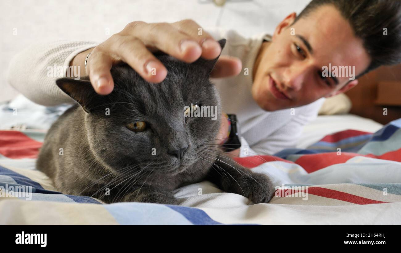 Handsome Young Animal-Lover Man on a Bed, Hugging and Cuddling his Gray ...