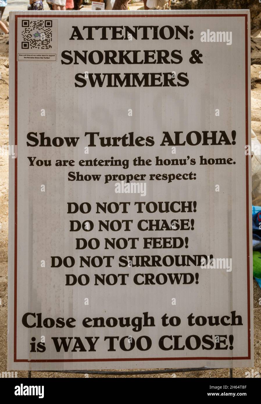Beach Sign - Warning Stay Away From Turtles Stock Photo - Alamy
