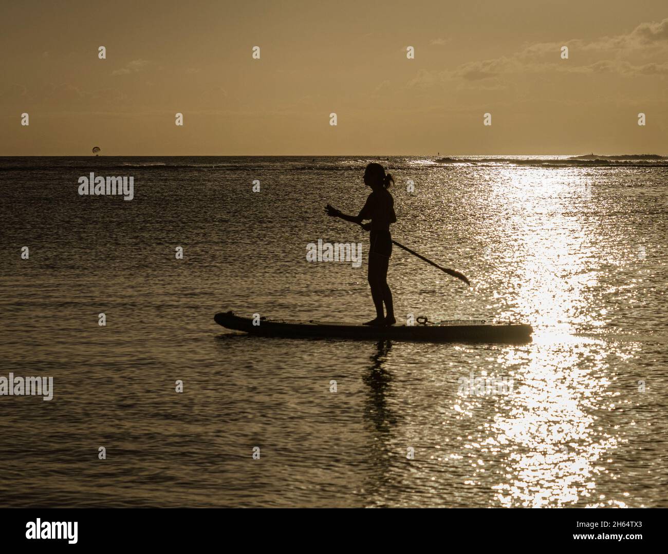 Paddle boarder at sunset on Oahu, Hawaii Stock Photo - Alamy