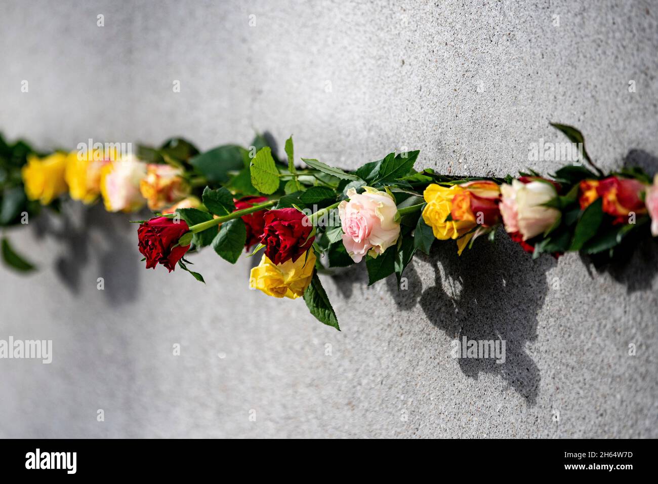 09 November 2021, Berlin: Roses stuck in a piece of the Wall at the ...