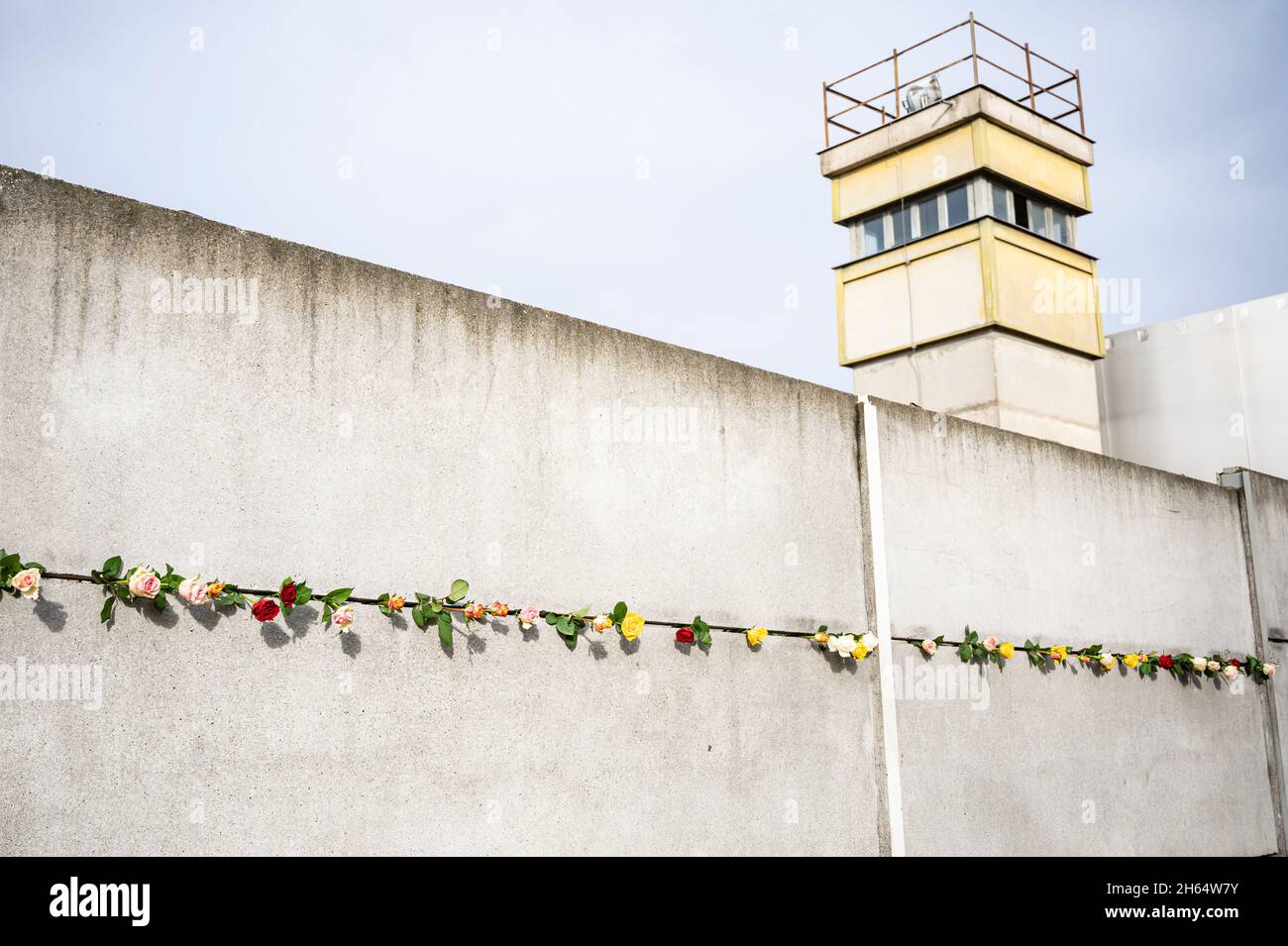 09 November 2021, Berlin: Roses stuck in a piece of the Wall at the ...