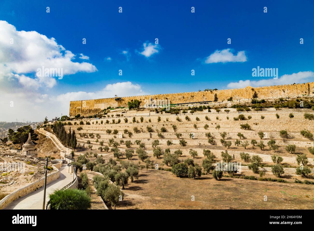Terraces of the Kidron Valley and the the wall of the Old City in ...