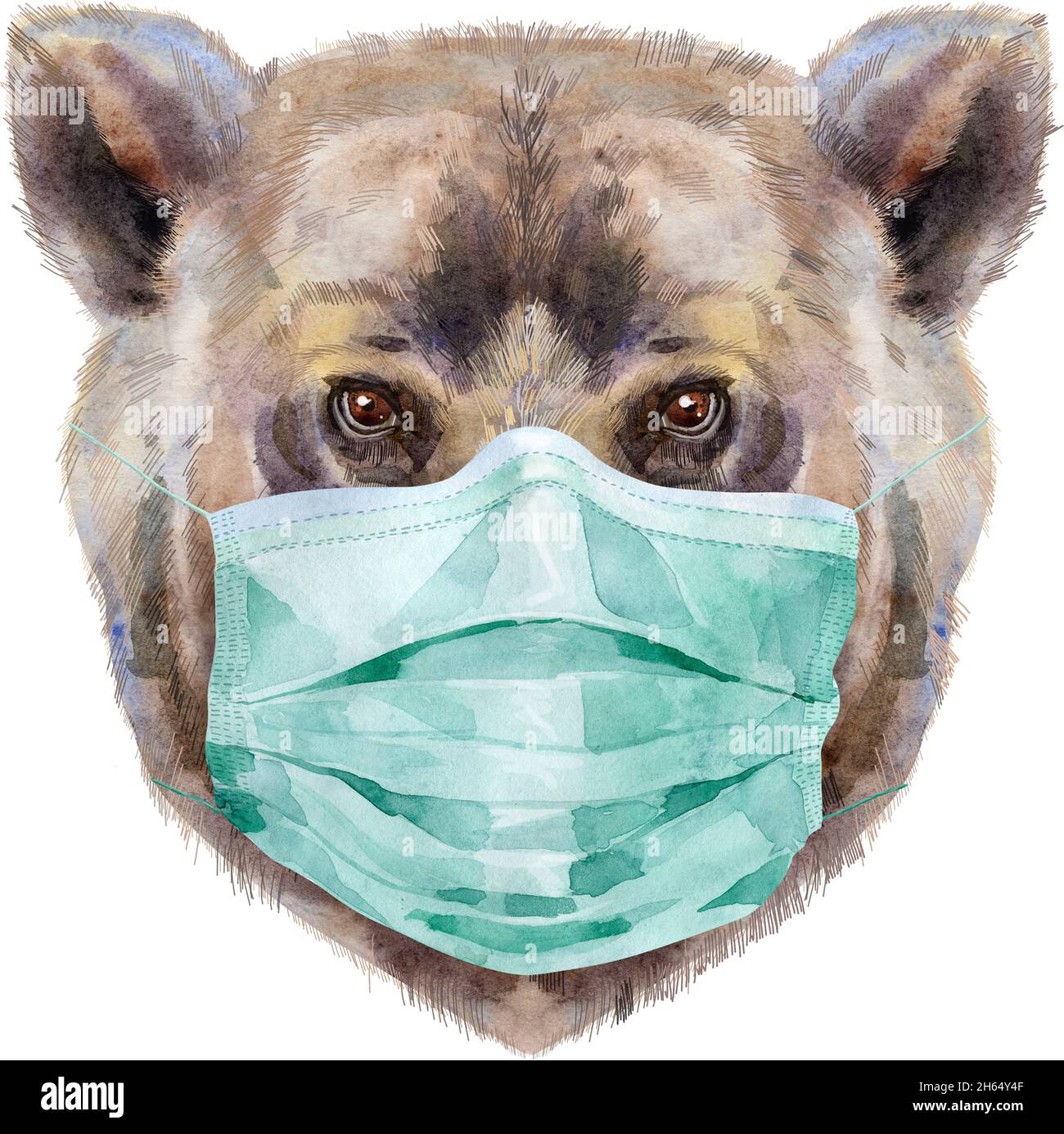 Bear portrait in protective mask. Watercolor brown bear painting ...