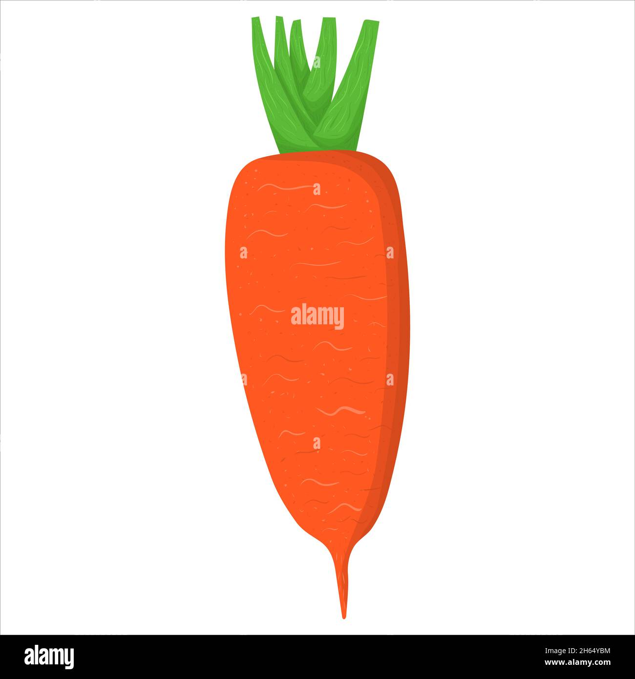 Cartoon illustration with colorful carrot root. Farm market product ...