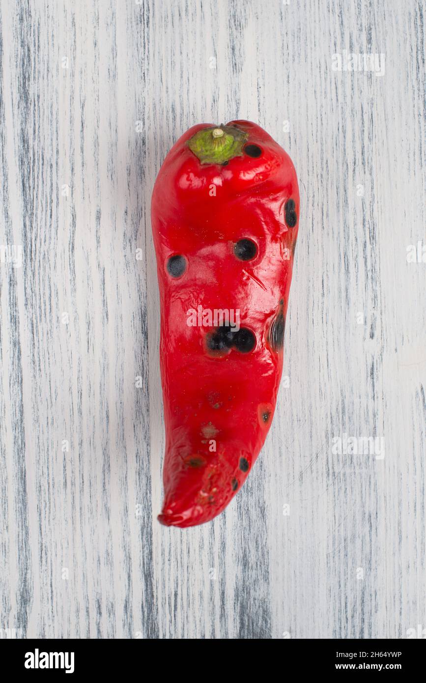 Rotten Yogurt Chili Funny