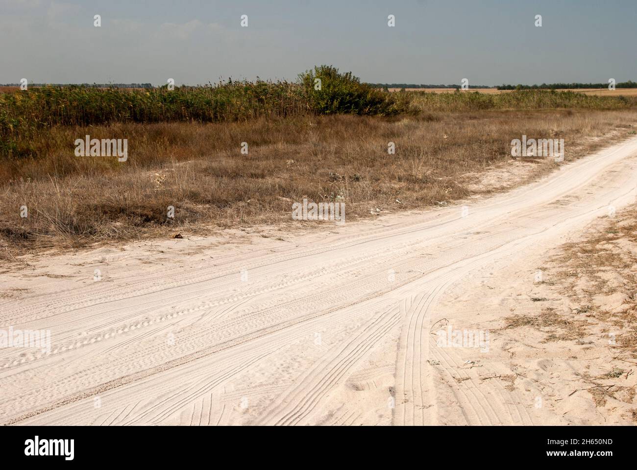 Countryside coastal sand road in summer time Stock Photo - Alamy