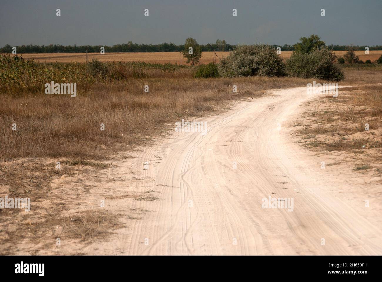 Countryside coastal sand road in summer time Stock Photo - Alamy