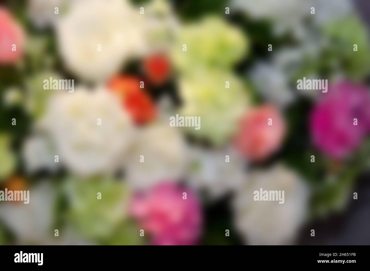 blurred flower background Stock Photo - Alamy