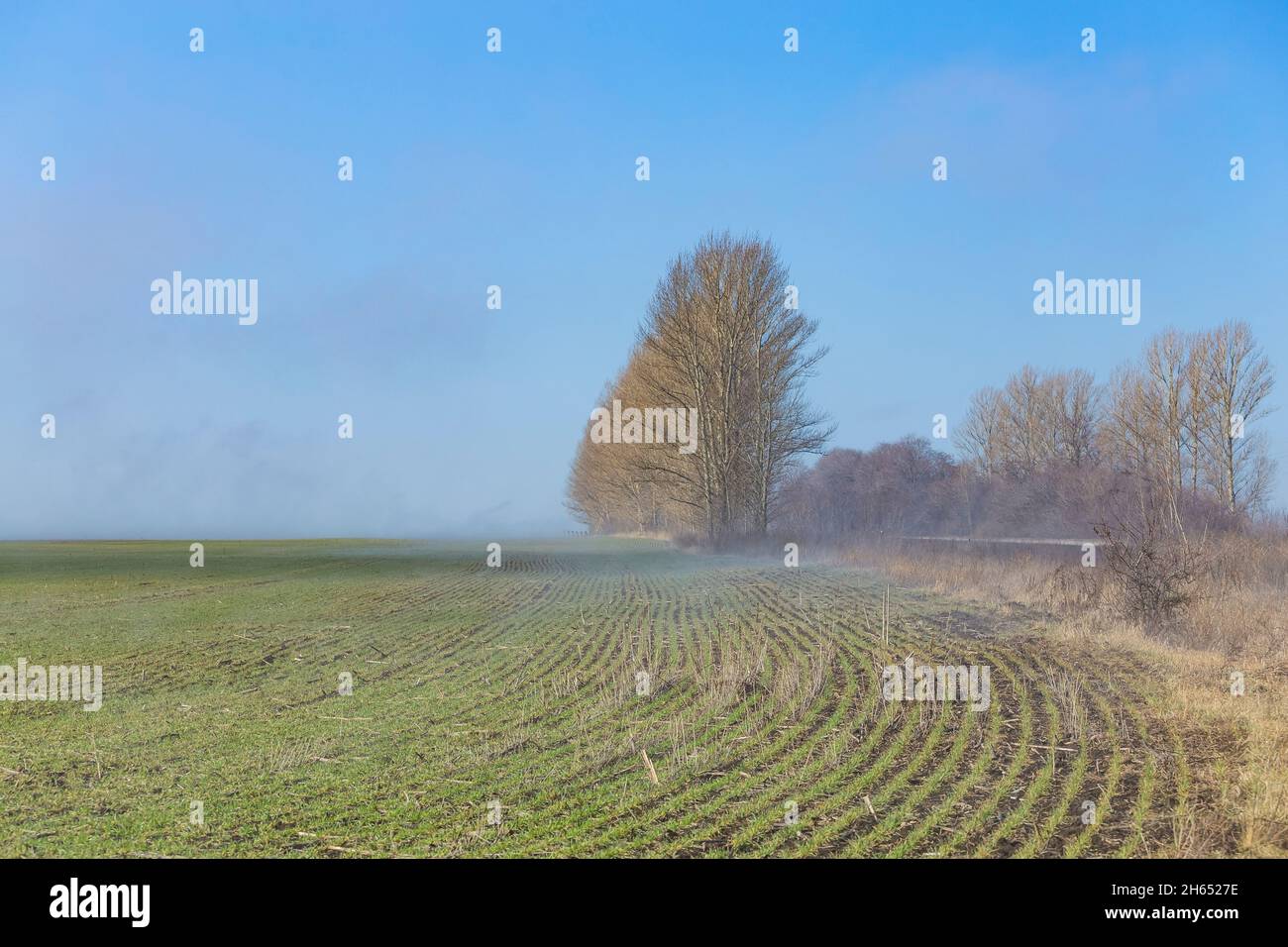 Autumn sown grains hi-res stock photography and images - Alamy