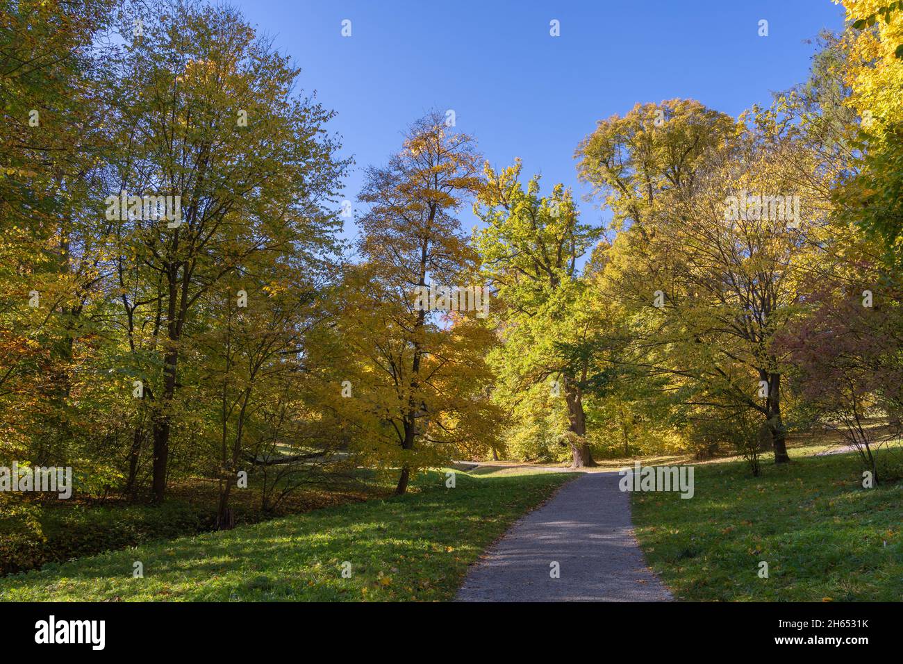 Through a park in the beginning of autumn with sunshine Stock Photo - Alamy