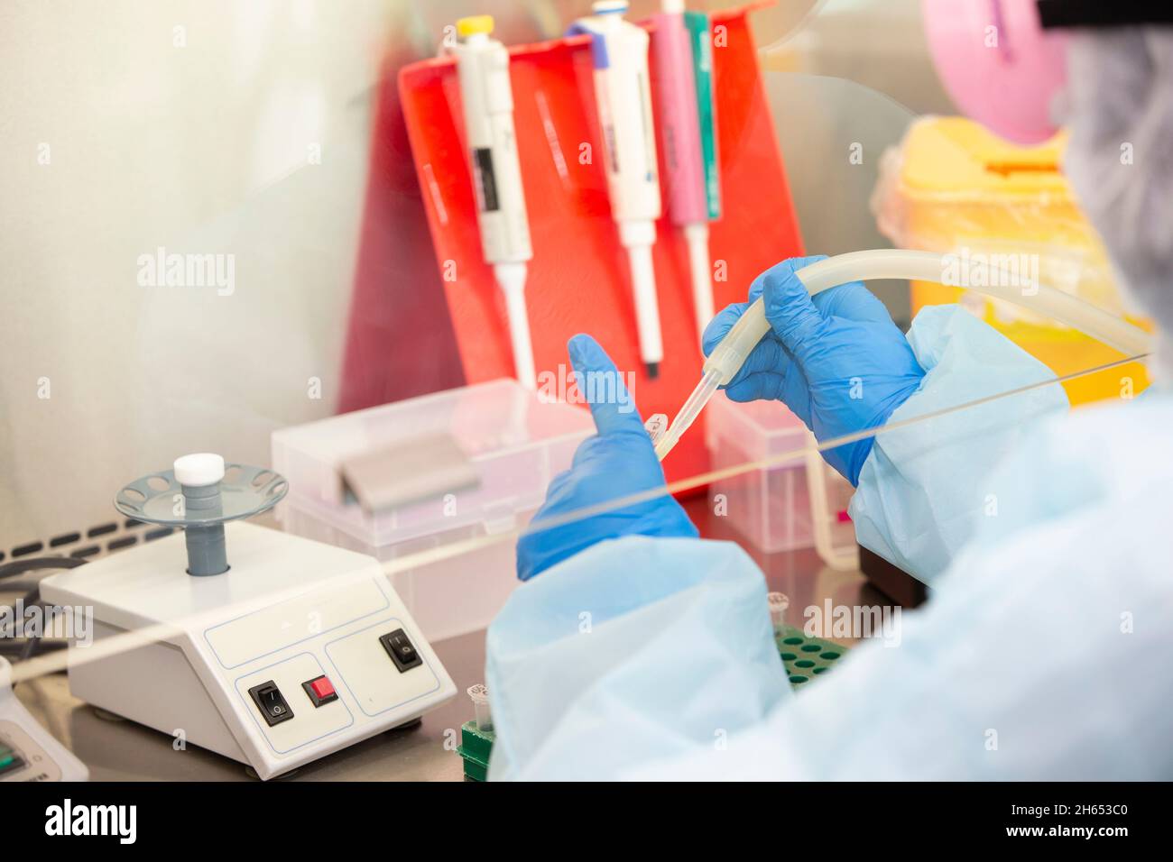 The hands of a physician laboratory assistant in an infectious disease ...