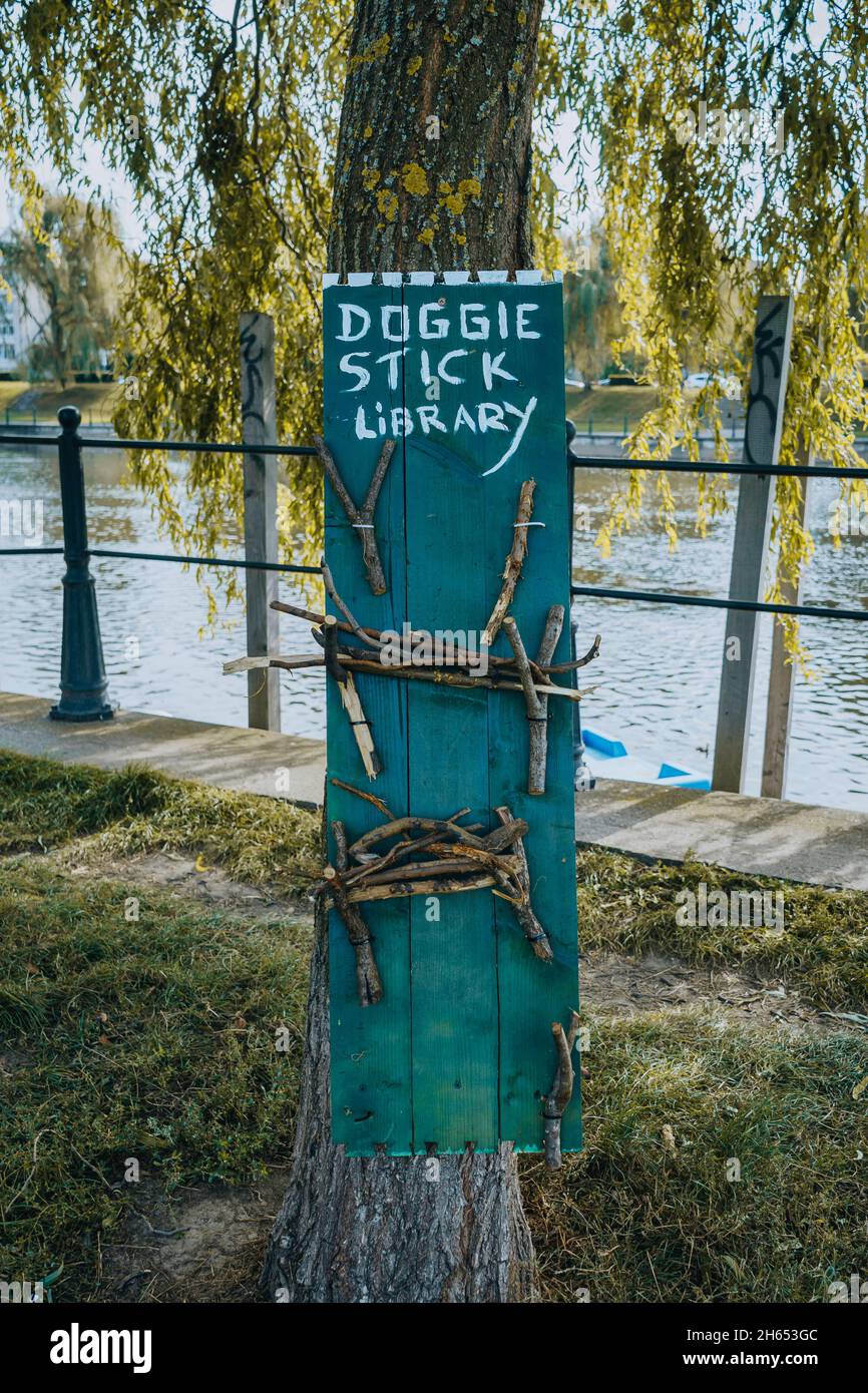 CLUJ NAPOCA, ROMANIA - Oct 13, 2021: A vertical shot of wood sticks ...