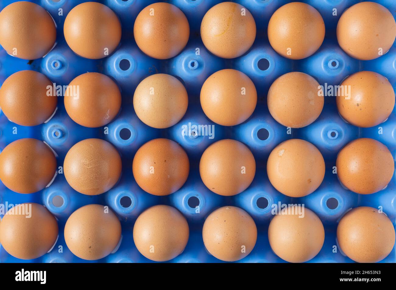 Free range eggs Stock Photo - Alamy