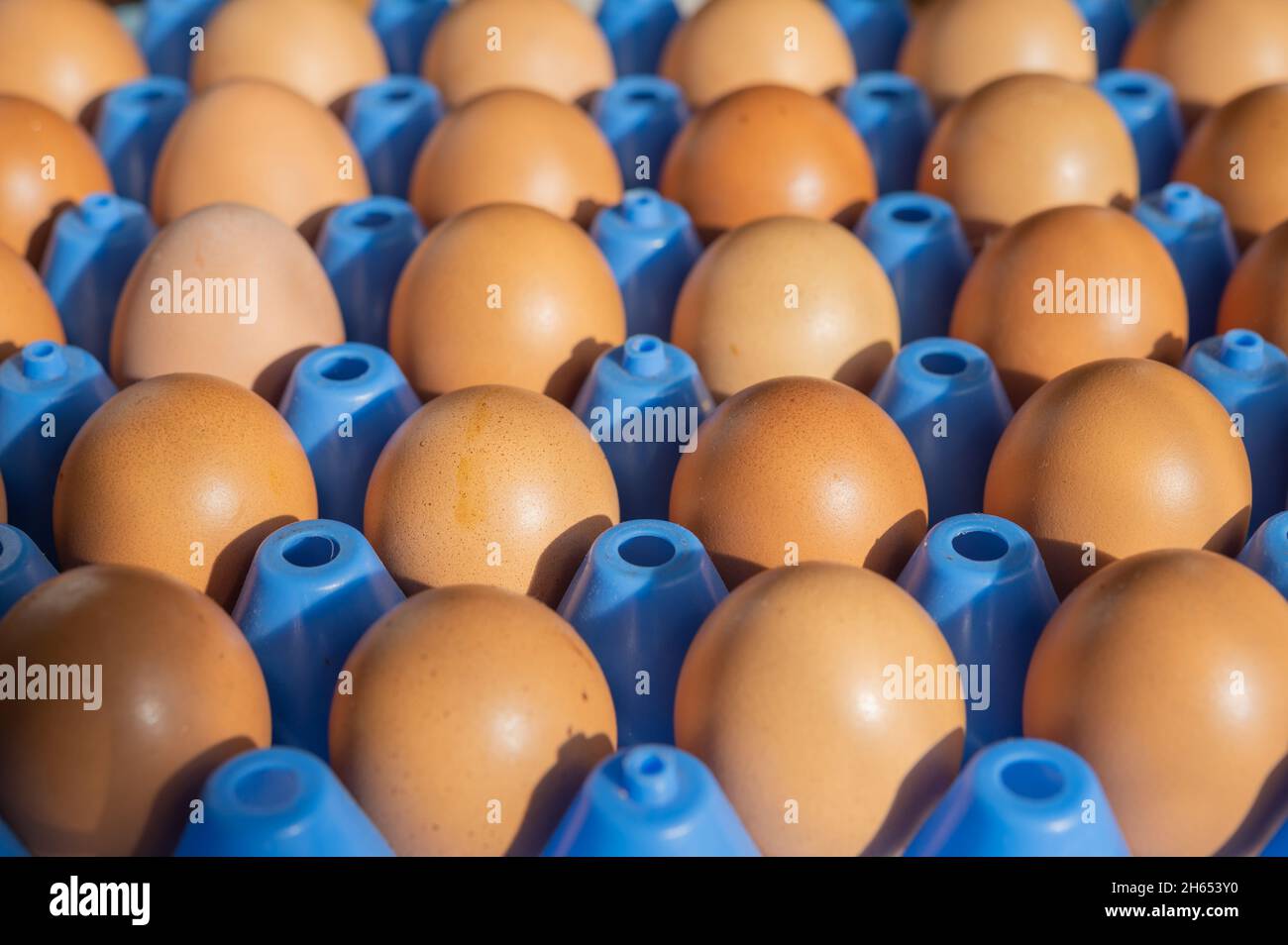 Free range eggs Stock Photo - Alamy