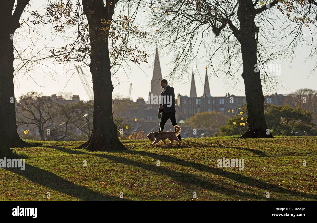 Inverleith Park, Edinburgh, Scotland, UK. 13th November. Sunshine for ...