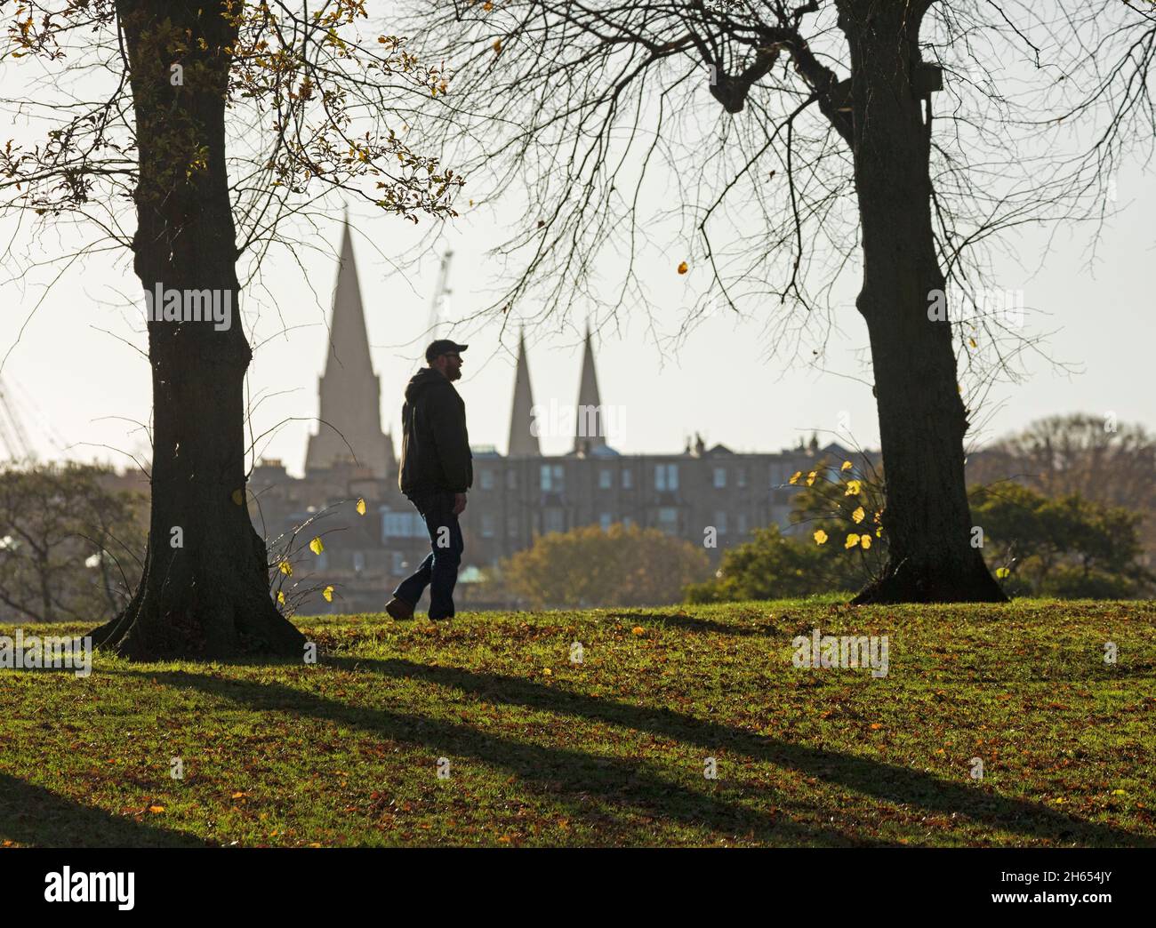 Inverleith Park, Edinburgh, Scotland, UK. 13th November. Sunshine for ...